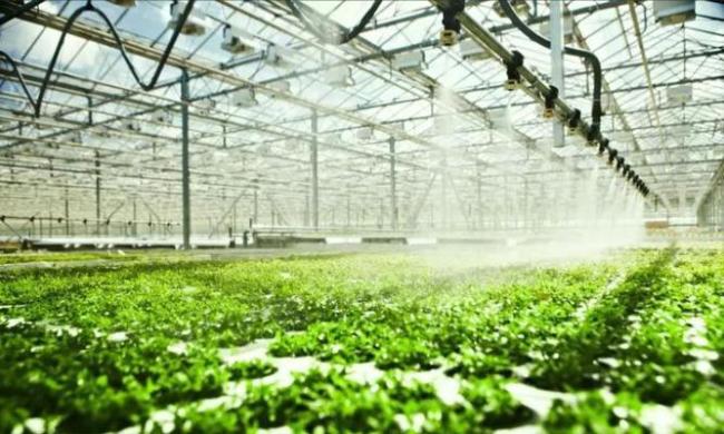 Anti-Drip Fogging Hydroponic Seedling Structure
