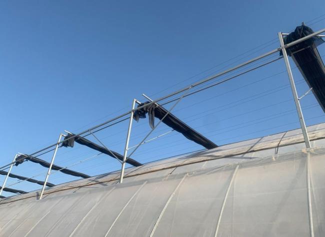 Anti-Drip Fogging Hydroponic Seedling Structure