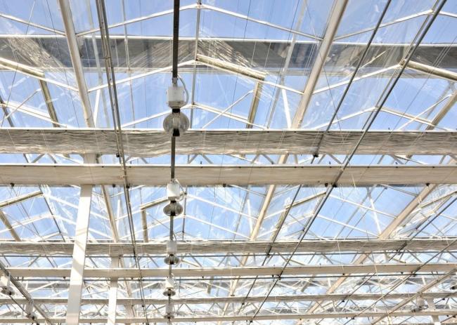 Anti-Drip Fogging Hydroponic Seedling Structure