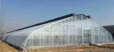 20.000kg Package Gross Weight Film Cover Water Pipe Hydroponics Greenhouse Solution