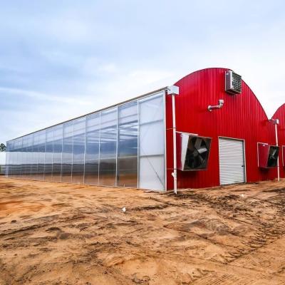 Cina Sistema di irrigazione a goccia Eco serra sui costi di spedizione e tempi di consegna stimati in vendita