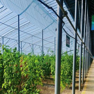 Cina Sistema di irrigazione a goccia Eco serra sui costi di spedizione e tempi di consegna stimati in vendita