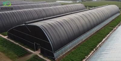 Cina 20.000kg Pacchetto Peso lordo Multi Span Pomodoro Zucchero Fragole In serra in vendita