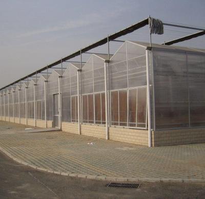 Cina 20GP 40GP 40HC Multi-Span PE Film Plastica Agricoltura Serra Kit per Multi-Span in vendita