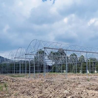 Cina Sistema di coltivazione idroponica a tubo d'acqua multi-span per l'efficienza dell'acquacoltura in serra in vendita