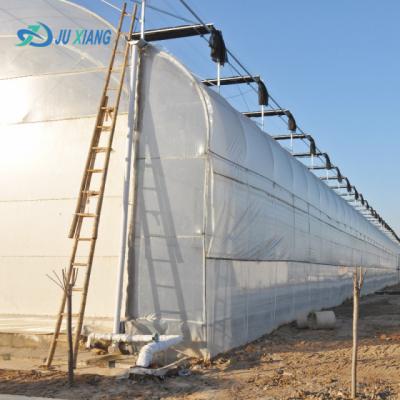 Cina Origine Eco serra per pomodoro/capsicum/comero struttura in acciaio e costi di spedizione in vendita