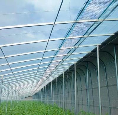 Cina Origine Eco serra per pomodoro/capsicum/comero struttura in acciaio e costi di spedizione in vendita