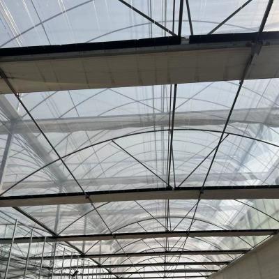 Cina Sistema idroponico a metri quadrati per la produzione su larga scala di ortaggi e fiori in vendita