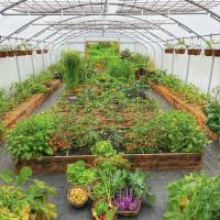 China Multi Span Commercial Greenhouse With Hydroponics System Custom for sale