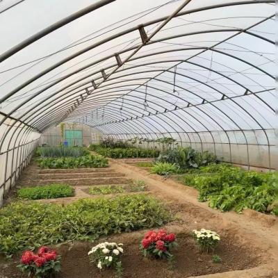 Cina Rivoluzionate la vostra produzione di verdura con la serra a galleria ad irrigazione a goccia in vendita