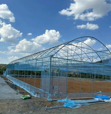 Cina Serra a pellicola multi-span per agricoltura verticale in vendita