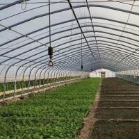 China Multi-Span Arch Tunnel Greenhouse Hydroponic Growing System for sale