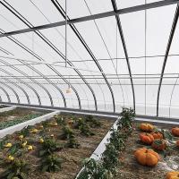 China Multi-Span Arch Tunnel Greenhouse Hydroponic Growing System for sale