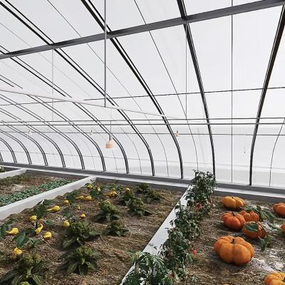 Cina Sistema di coltivazione idroponica in serra con tunnel ad arco multi-span in vendita