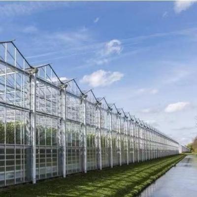 Cina Serra a luce solare per piantare capsicum Metodo avanzato di coltivazione delle verdure in vendita