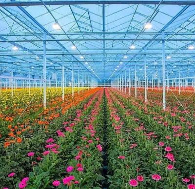 Cina Per il calcolo delle emissioni di CO2 in vendita