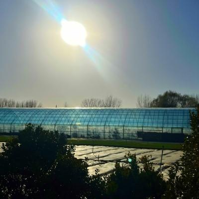 Cina Serra a doppio arco personalizzata per verdure personalizzate alle vostre esigenze in vendita
