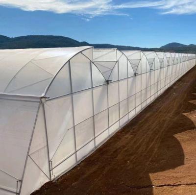 Cina Serra a doppio arco personalizzata per verdure personalizzate alle vostre esigenze in vendita