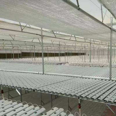 China Op maat gemaakte aanvraag voor Venlo Multi Span Serre 1 vierkante meter Min.Order Te koop