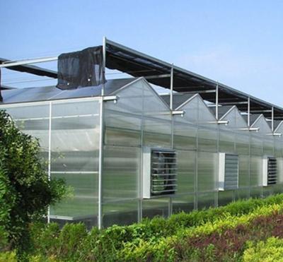 Cina Pagamento iniziale Vibratore per neve Serra per l'agricoltura Metodo di riscaldamento non riscaldato in vendita