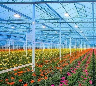Cina Pagamento iniziale Vibratore per neve Serra per l'agricoltura Metodo di riscaldamento non riscaldato in vendita
