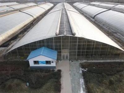 Cina Vibratore per la neve per la coltivazione di verdure in serra in vendita