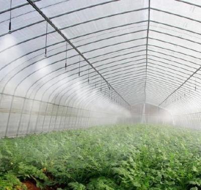 Cina Vibratore di neve personalizzato Serra per la piantagione di pomodori singolo o multi-Span grande in vendita