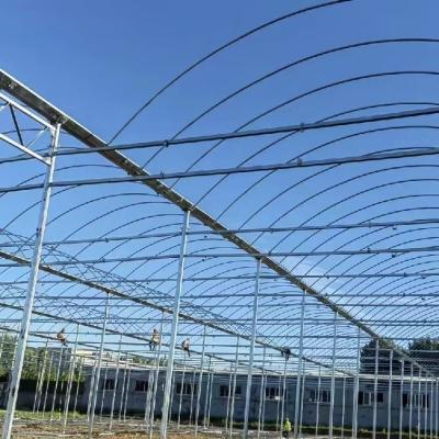 China Grootschalige verbouwing Groentehuis Multi Span Hydroponisch Groei Systeem tegen betaalbare prijzen Te koop