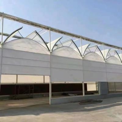 Modern Sunlight Glass Greenhouse with Automatic Irrigation System