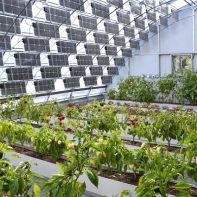 Cina Serra solare fotovoltaica per prestazioni di tipo arco multi-span PE/Po film di plastica in vendita