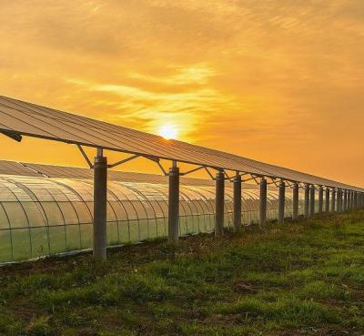 Cina Costo di spedizione e tempo stimato per la serra solare ad arco multi-span in vendita