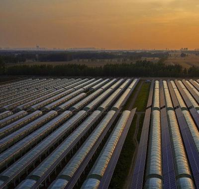 Cina Costo di spedizione e tempo stimato per la serra solare ad arco multi-span in vendita