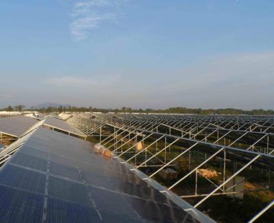 Cina Costo di spedizione e tempo stimato per la serra solare ad arco multi-span in vendita