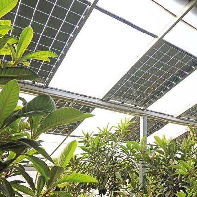 Cina 6/9.6/12metri Serre fotovoltaiche mono/multi-span per illuminazione rurale in vendita