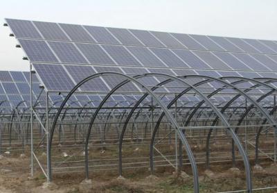 Cina Materiali da costruzione Struttura in acciaio Arco multi-span Serre fotovoltaiche in vendita