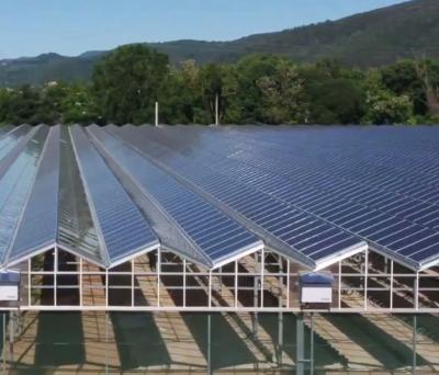 Cina Materiali da costruzione Struttura in acciaio Arco multi-span Serre fotovoltaiche in vendita