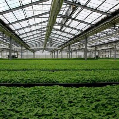 Cina Conservazione del calore da serra con pannelli fotovoltaici e di grande capacità di stoccaggio in vendita