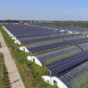 Cina Conservazione del calore da serra con pannelli fotovoltaici e di grande capacità di stoccaggio in vendita