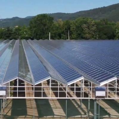 Cina 30 giorni Ritorno Rimborsi Doppio strato PE/Po Film di plastica Serra solare fotovoltaica in vendita