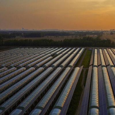 Cina 30 giorni Ritorno Rimborsi Doppio strato PE/Po Film di plastica Serra solare fotovoltaica in vendita