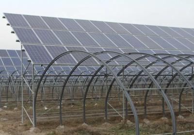 Cina 30 giorni Ritorno Rimborsi Doppio strato PE/Po Film di plastica Serra solare fotovoltaica in vendita