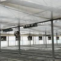 China Multi-Span Greenhouse for Vegetable Production US 20/Square Meter Min. Order Samples for sale