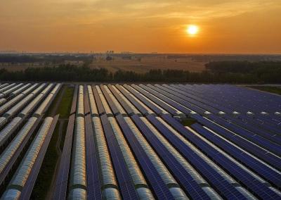 Cina Personalizzazione Arco multi-span Tipo cetriolo Lattuga Serre fotovoltaiche jx-SG-20 in vendita