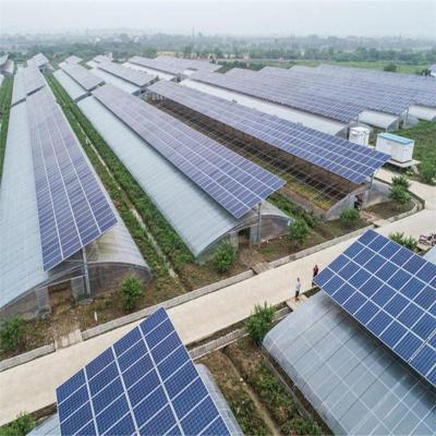Cina Personalizzazione Arco multi-span Tipo cetriolo Lattuga Serre fotovoltaiche jx-SG-20 in vendita