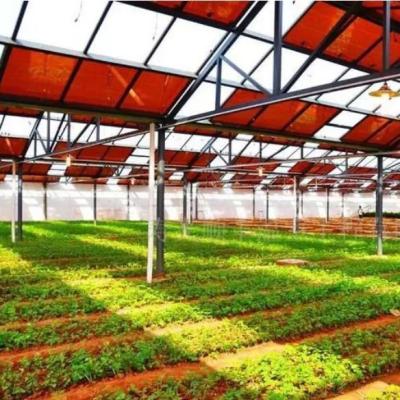 Cina Struttura in acciaio Serre Tecnologia di isolamento termico con norme in vendita