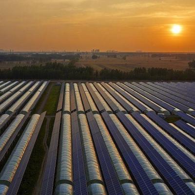 Cina Ventilazione idroponica Serre fotovoltaiche 6/9 e 6/12 metri per la produzione delle colture in vendita