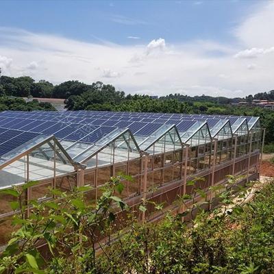 Cina Ventilazione idroponica Serre fotovoltaiche 6/9 e 6/12 metri per la produzione delle colture in vendita