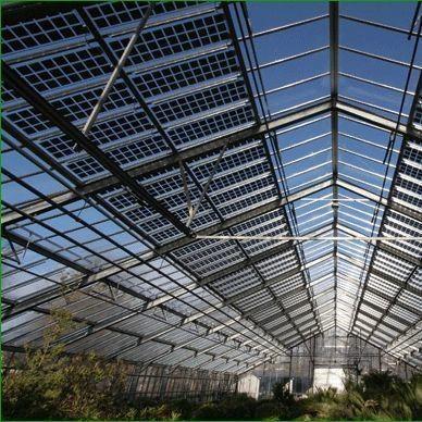 Cina Ventilazione idroponica Serre fotovoltaiche 6/9 e 6/12 metri per la produzione delle colture in vendita