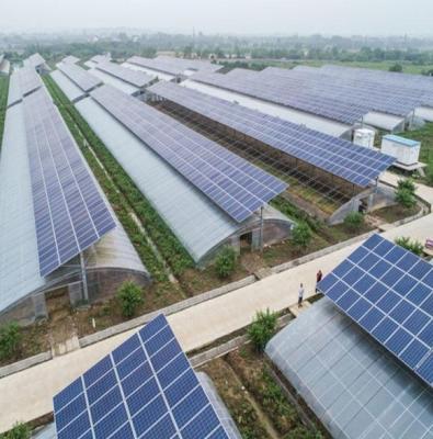 Cina Ventilazione idroponica Serre fotovoltaiche 6/9 e 6/12 metri per la produzione delle colture in vendita