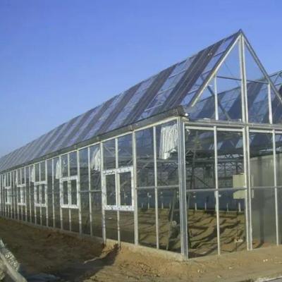 Cina Ventilazione idroponica Serre fotovoltaiche 6/9 e 6/12 metri per la produzione delle colture in vendita